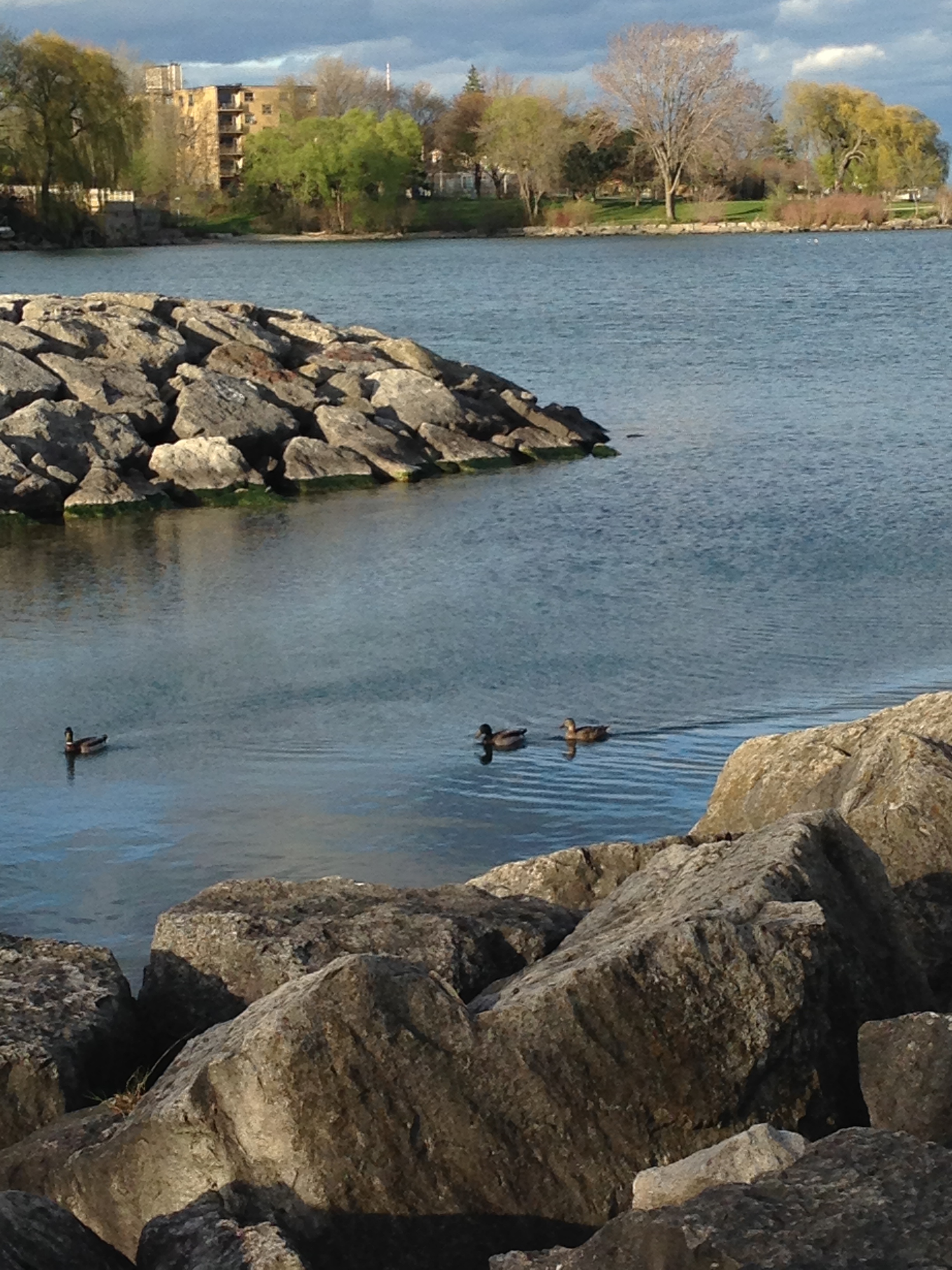 WPC – Edge | Mama Cormier