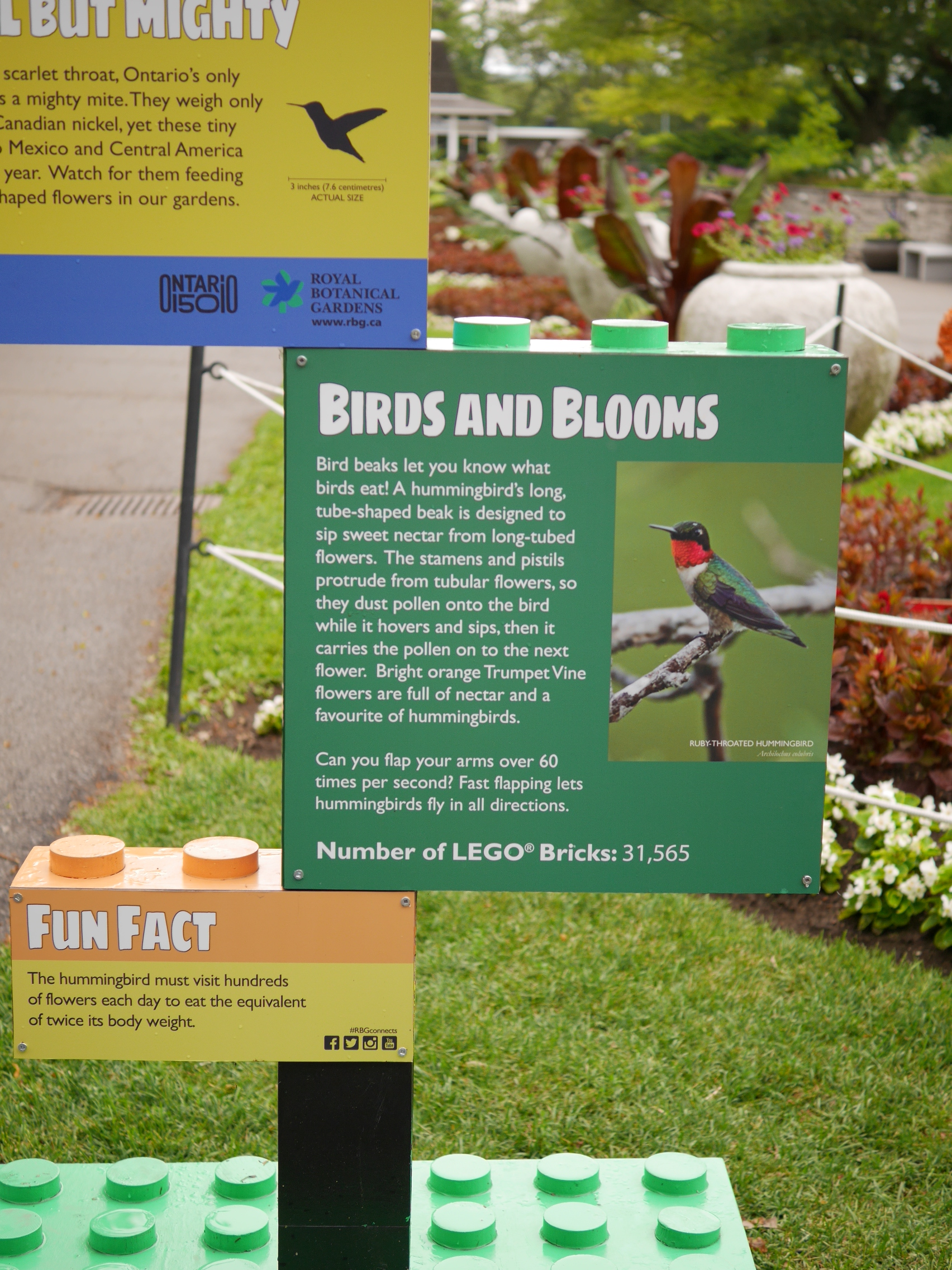 Two Hummingbirds: One Real and One Made From Lego | Mama Cormier