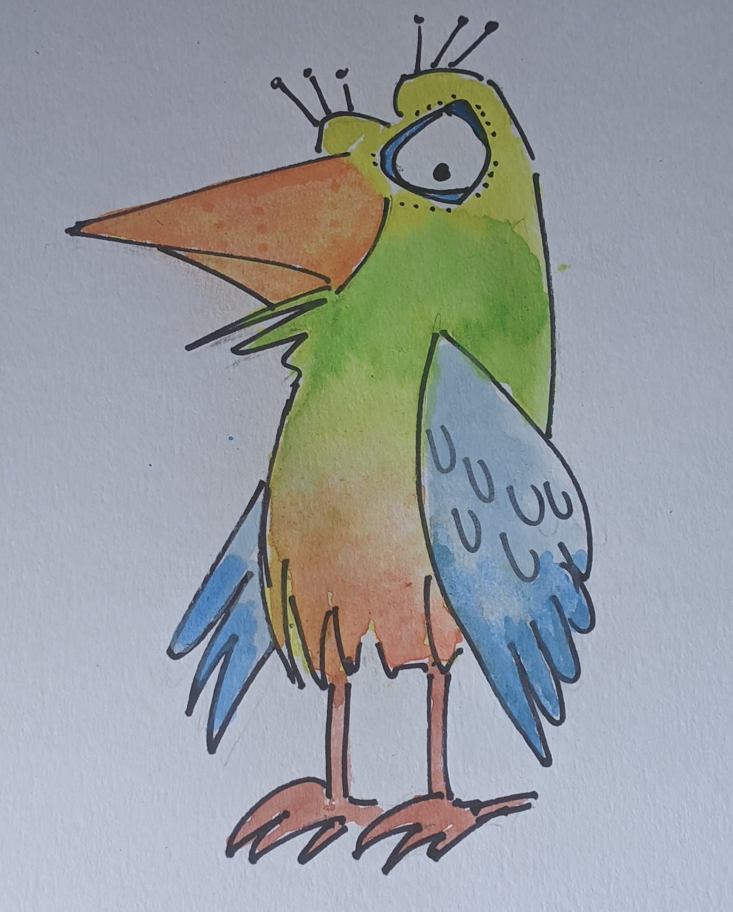 Wacky Bird With Attitude | Mama Cormier