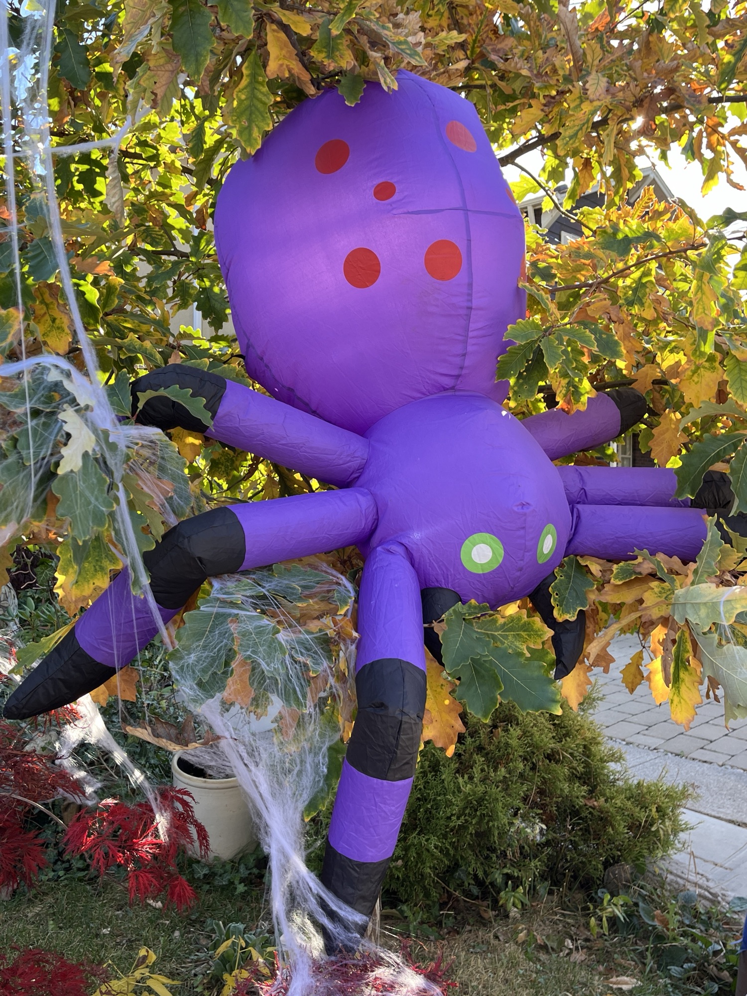 Halloween Inflatables | Mama Cormier