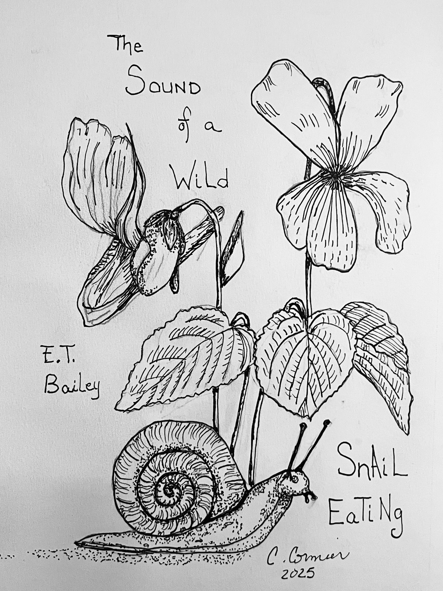 Day 47 – The Sound of a Wild Snail Eating | Mama Cormier