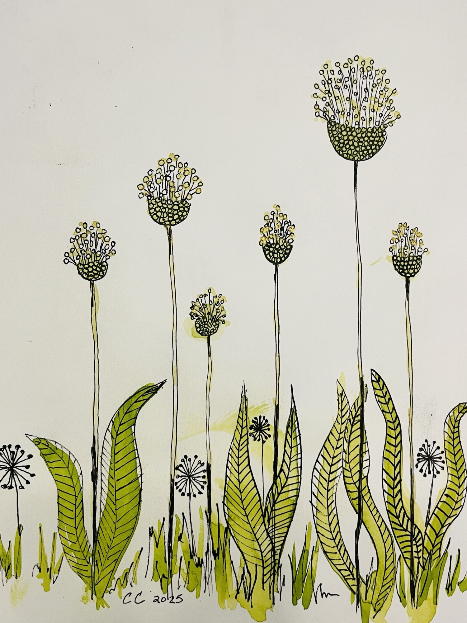 Slow Drawing – Days 62 & 63 | Mama Cormier