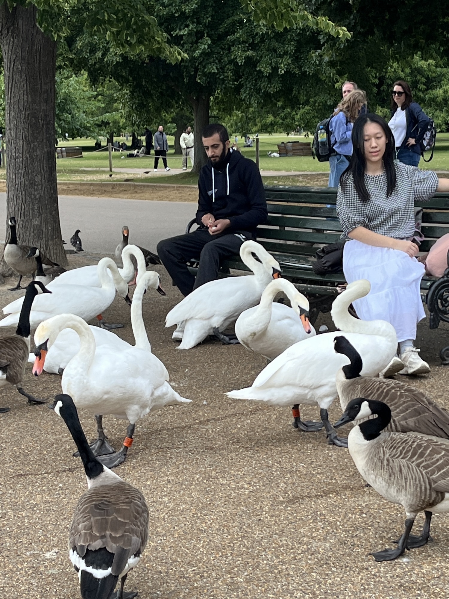 Summer in London | Mama Cormier