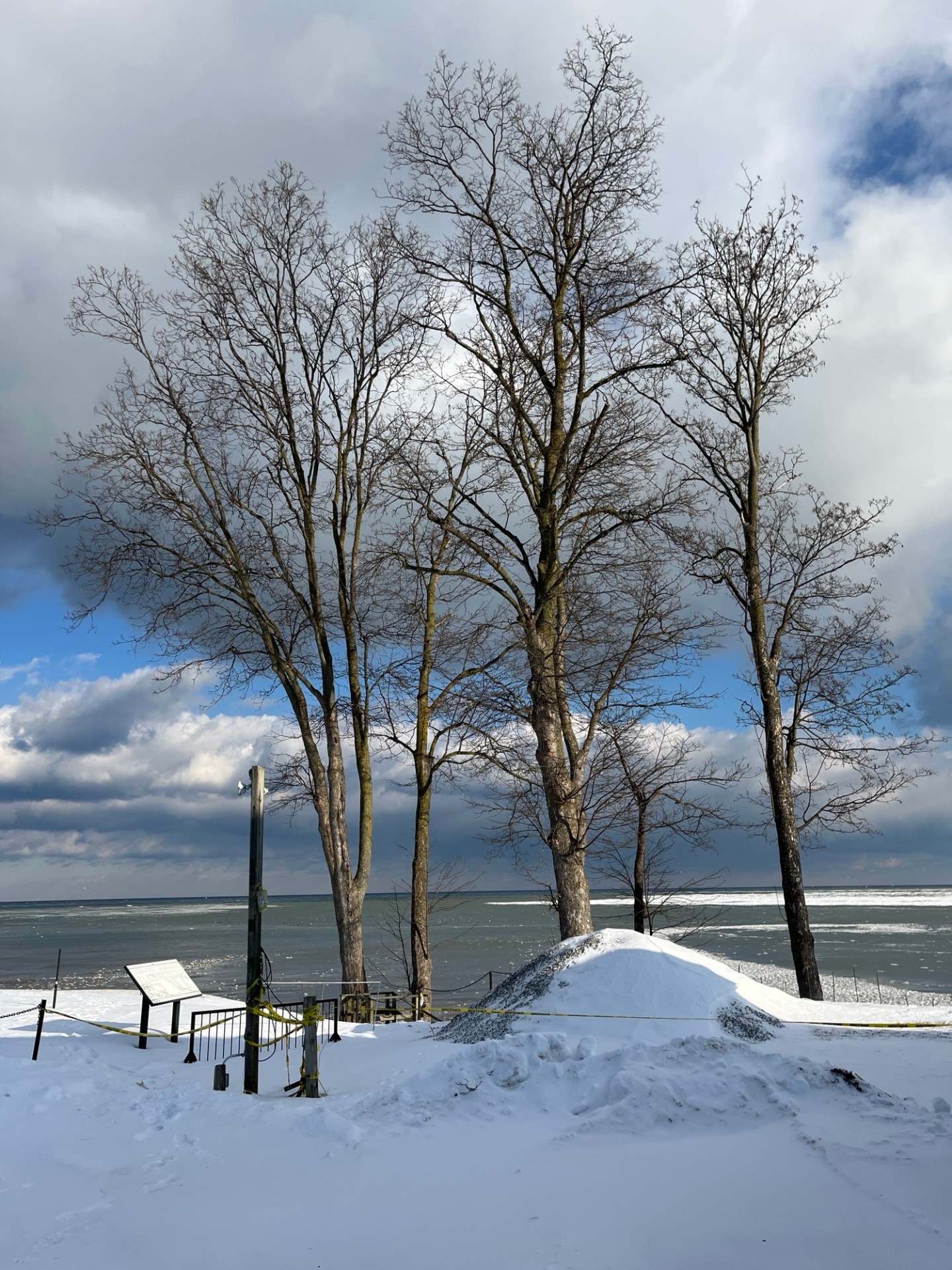Sunday Trees by the Lake | Mama Cormier