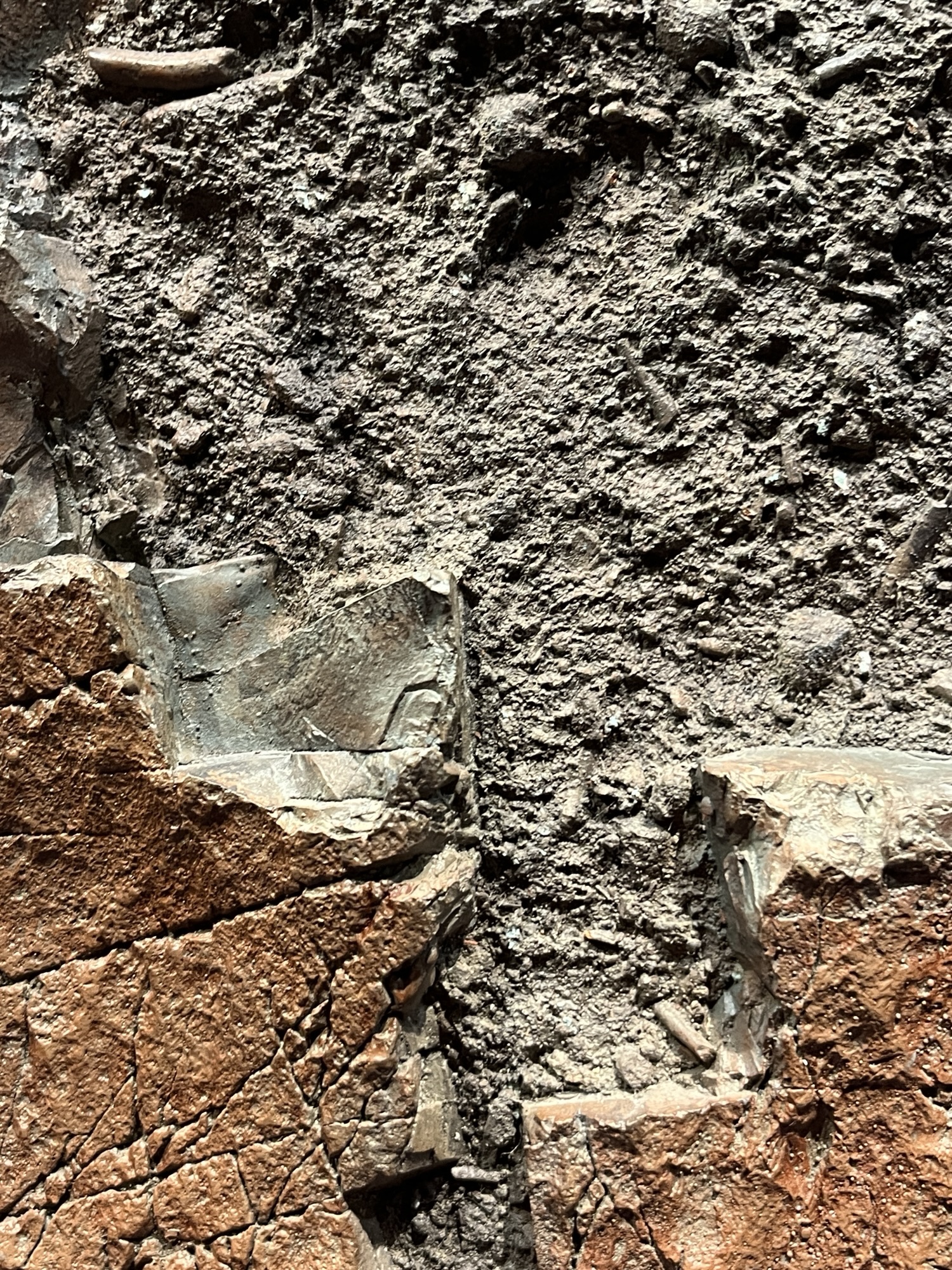 Macros and Textures at the ROM | Mama Cormier