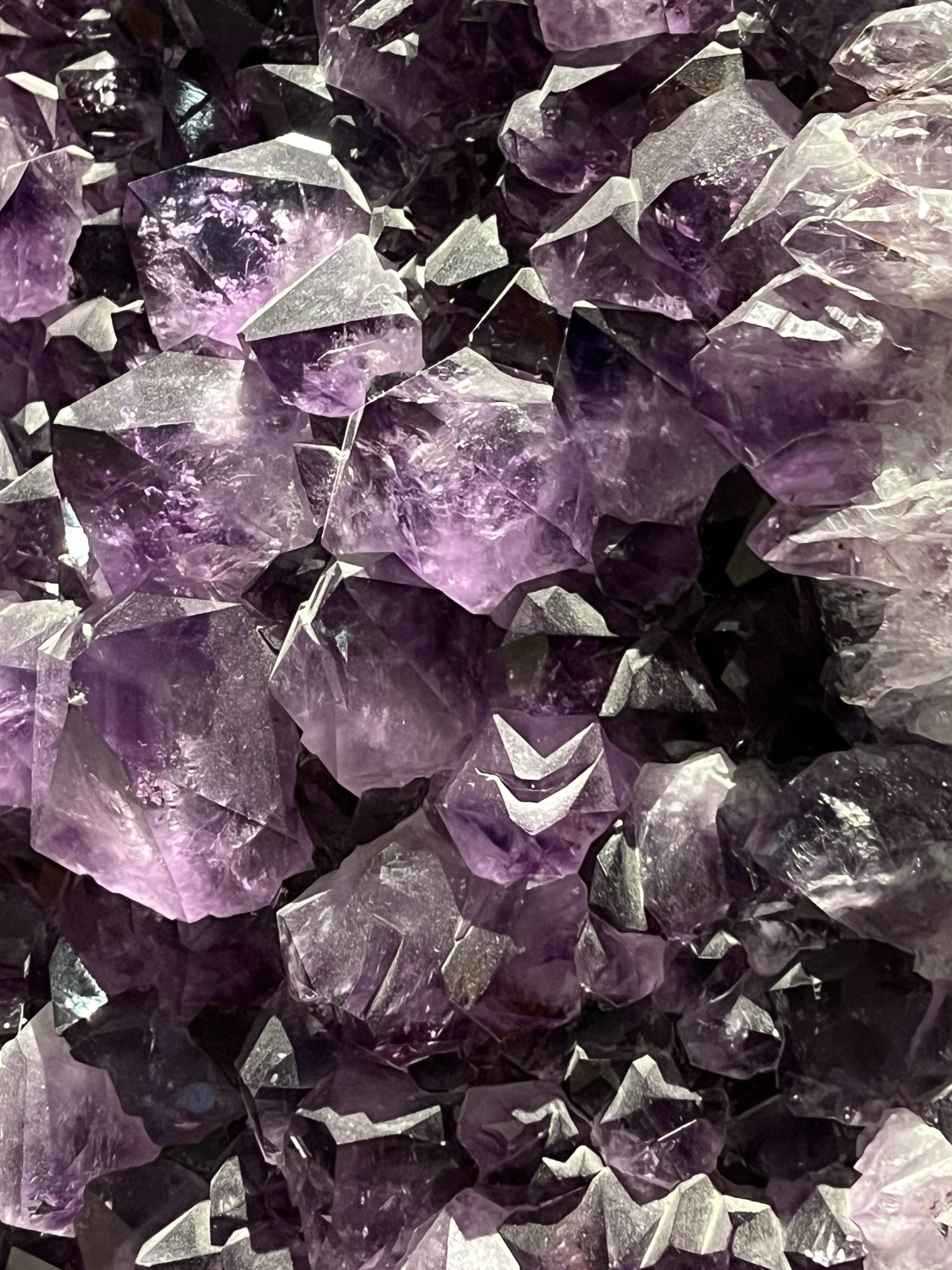Macros and Textures at the ROM | Mama Cormier