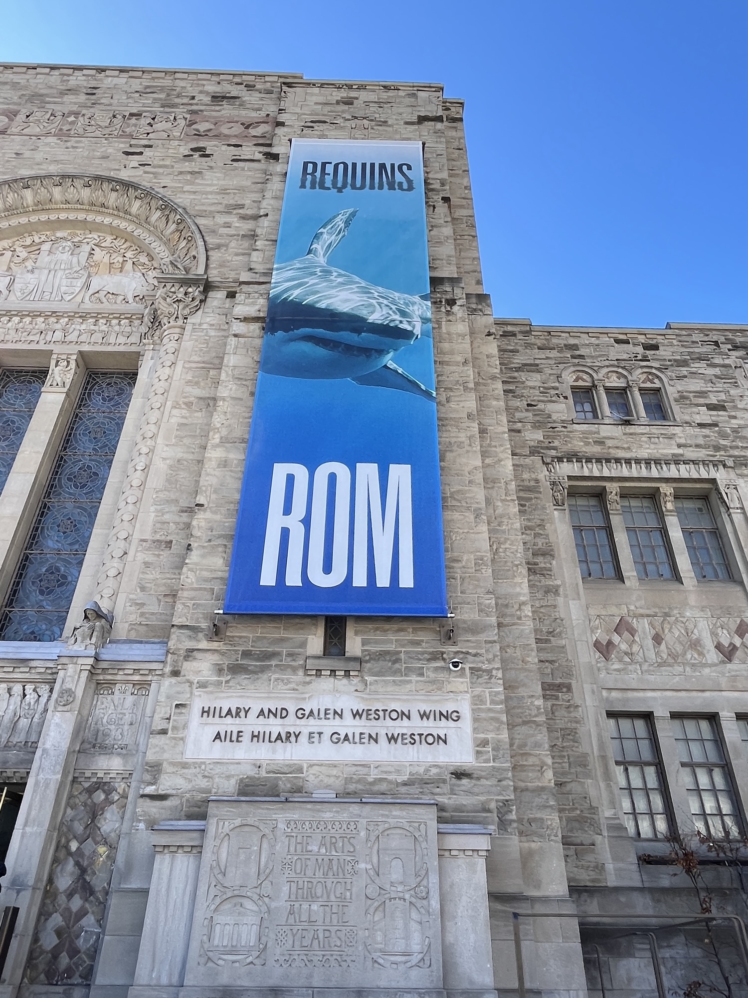 Macros and Textures at the ROM | Mama Cormier